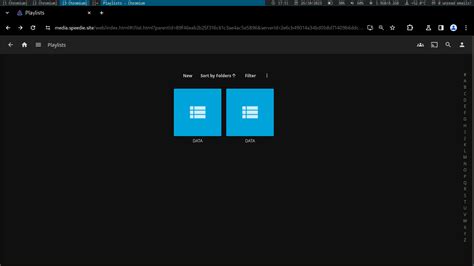 [issue] playlists not listed · issue 10475 · jellyfin jellyfin · github