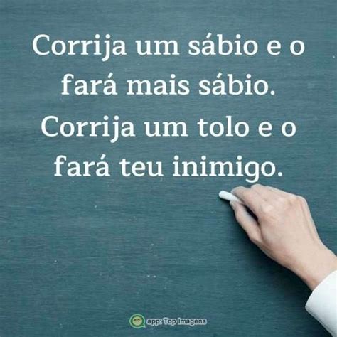 Sábio E Tolo Top Imagem 20388