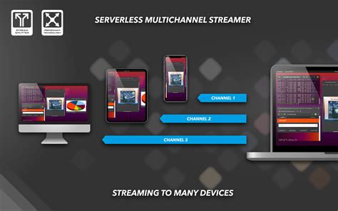 Install Alfacast Screen Mirror On Linux Snap Store