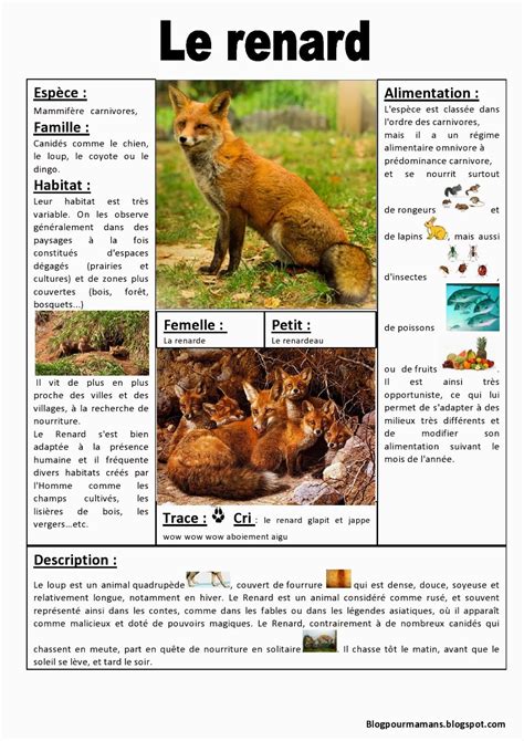 Épinglé Sur Fiches Animaux