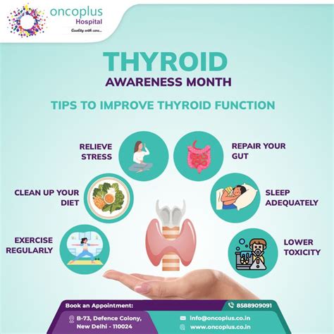Thyroid Endocrine Hypothyroidism Thyroidawarenessmonth