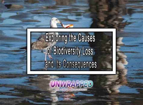 Exploring The Causes Of Biodiversity Loss And Its Consequences