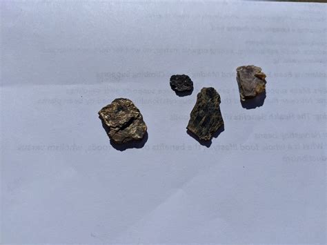 Sorting Soil Rocks And Minerals Hilltop Education Connections