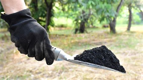 Biochar Technology Vital In Boosting Pakistans Farm Economy Through