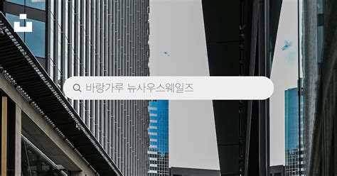 바랑가루 Nsw 사진 Unsplash에서 무료 이미지 다운로드
