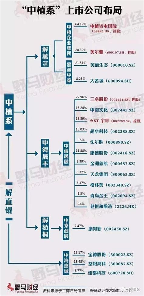 中植系暴雷的观察与分析 知乎
