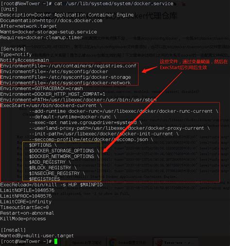 docker配置文件 kunsile 博客园