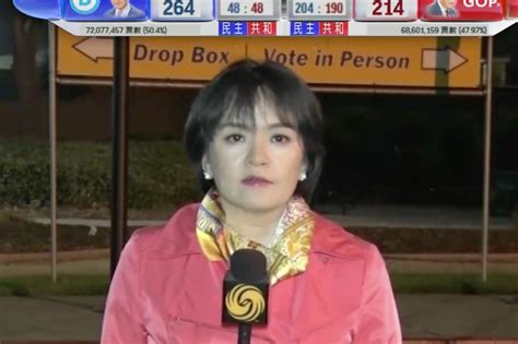 加州华裔选民呼吁理性对待大选结果与诉讼凤凰网视频凤凰网
