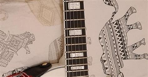 Edwards E Lp 130cd Album On Imgur