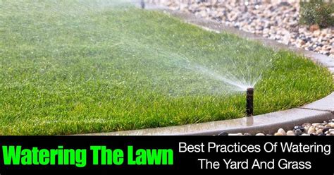 Watering The Lawn Best Practices Of Watering The Yard And Grass