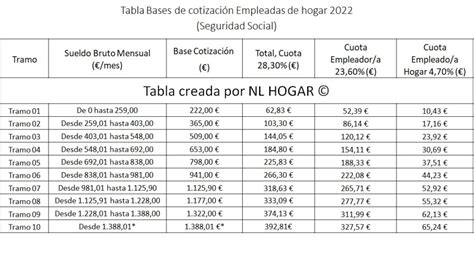 La base de cotización del empleo de hogar