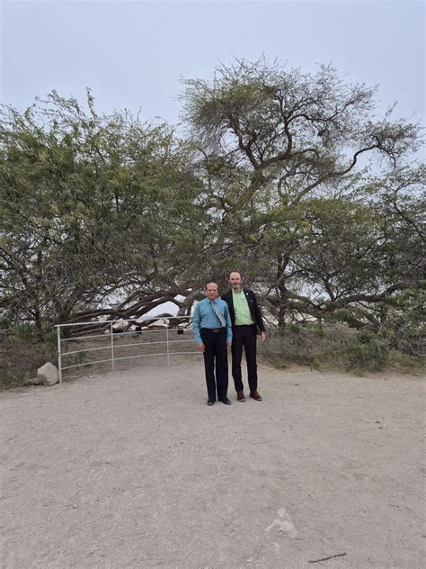 Raj Jhajharia On Linkedin Tree Of Life It Was My Great Pleasure