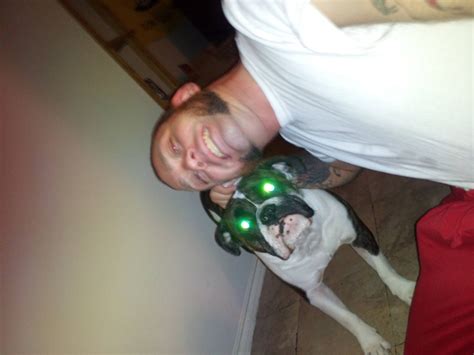 Lilly The Guard God Uploaded With Pinterest Android App Get It
