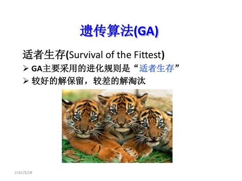 遗传算法genetic Algorithmword文档在线阅读与下载无忧文档 遗传算法genetic Algorithmword文档在线阅读与下载无忧文档