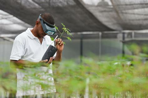 Progress Is Built On Iteration And Fertile Foundations CGIAR