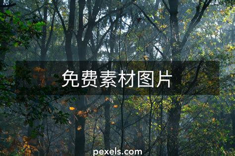 100 张最精彩的“sap Erp”图片 · 100 免费下载 · Pexels素材图片