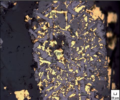 Figure 6 From The Impact Of Magnetic Viscosity On Time Domain