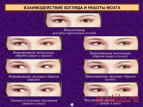 Как описать взгляд человека Женский блог — сайт о здоровье красоте и Рецепты на каждый случай