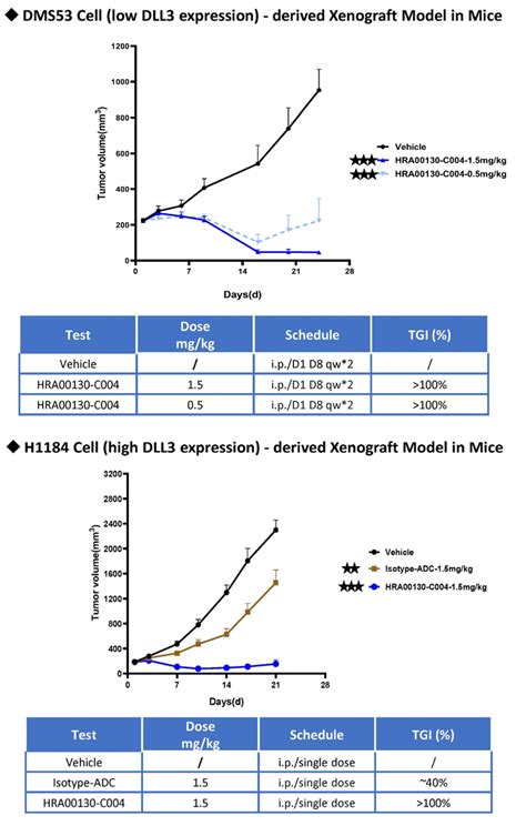 2024 Aacr｜恒瑞医药一种新型dll3 Adc药物hra00130 C004研究数据亮相医药新闻 Bydrug 一站式医药资源共享中心 医药魔方