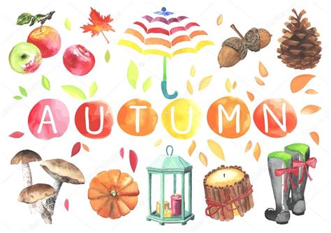 Cute Autumn Elements Stock Vector Image By ©olgabonitas 123359526