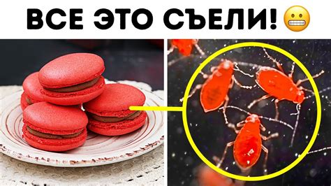 Тайная жизнь обыденных вещей: то, что вы упустили - YouTube
