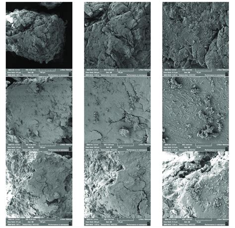 Dissolution Profiles Of Granulates Prepared By Impregnating Thin Mcc