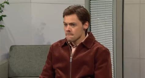 Harry Styles Hace De Gay En Saturday Night Live Cromosomax