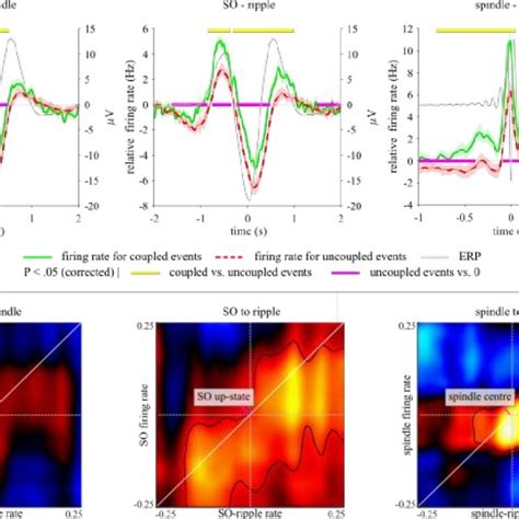 Pdf How Coupled Slow Oscillations Spindles And Ripples Control