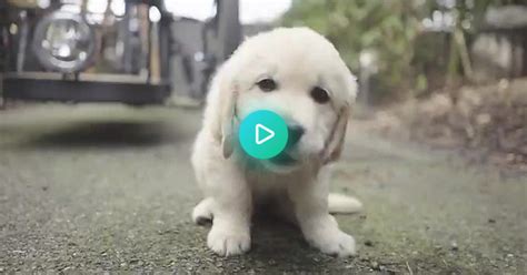 Munch Munch Album On Imgur