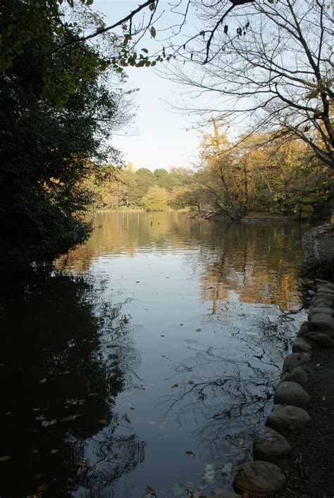 善福寺公園 HDR GANREF