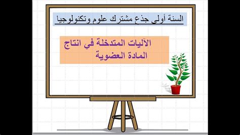 اولى ثانوي الآليات المتدخلة في انتاج المادة العضوية عند النبات الاخضر