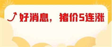 重磅猪价加速上涨生猪期货涨停股票飙升赚了 中央