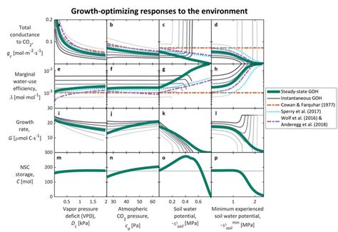 Instantaneous And Steady State Responses According To The Growth