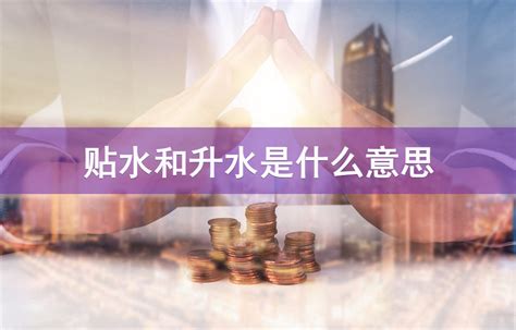 贴水和升水是什么意思 会计网