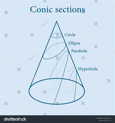 Types Conic Sections Circle Ellipse Parabola Stock Vector Royalty Free 2291615367 Shutterstock