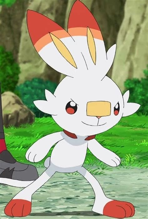 Scorbunny Screenshot Personagens Pokemon Pokemon Pokemon Para Colorir