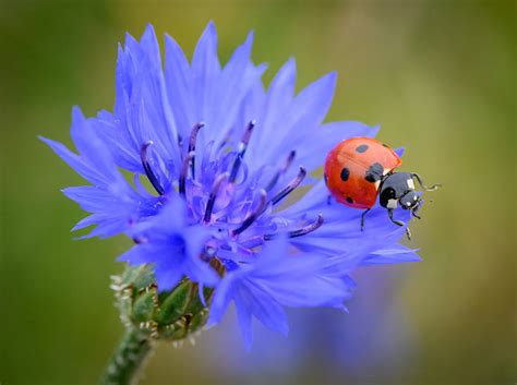 Otrdien Latvijā Tikai Retumis Uzspīdēs Saule