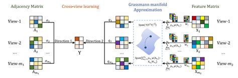 cross view approximation on grassmann manifold for multiview clustering