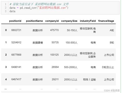 Pandas数据加载与存储pandas保存数据 Csdn博客