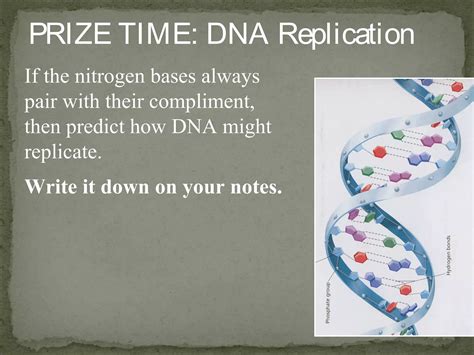 Dna Structure Notes Ppt