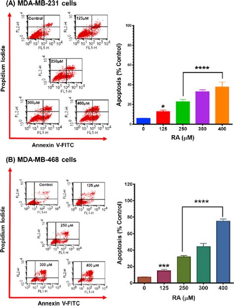Apoptotic Effect Of Ra In A Mda Mb 231 And B Mda Mb 468 Tnbc Cell