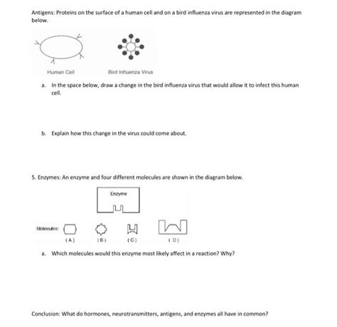 solved antigens proteins on the surface of a human cell and