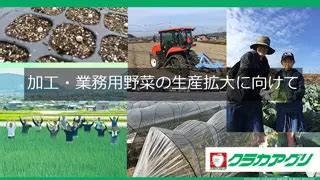 株式会社TFYの白ネギ圃場加工施設を訪問しました クラカグループ倉敷青果株式会社