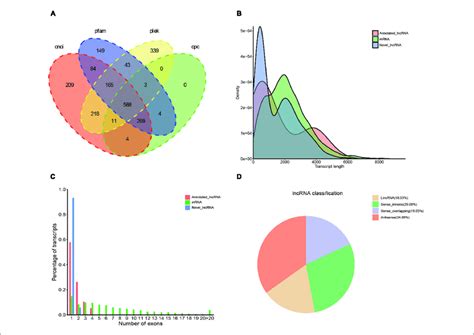 Identification Of Lncrna Based On The Smrt Sequencing A Venn
