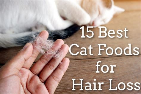 15 Best Cat Foods For Hair Loss Proudcatowners
