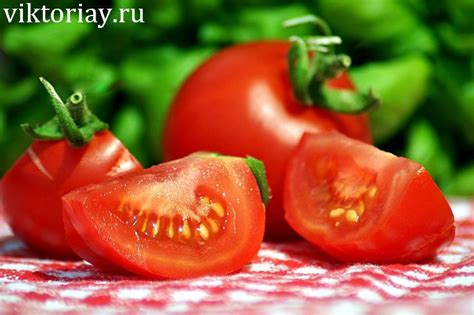 Где можно купить семена томата: помидора сорт "Дар Заволожья розовый ...