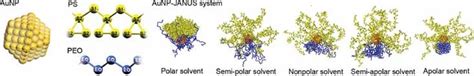 SolventResponsive Behavior Of PolymerBrushModified Amphiphilic Gold Nanoparticles Dong