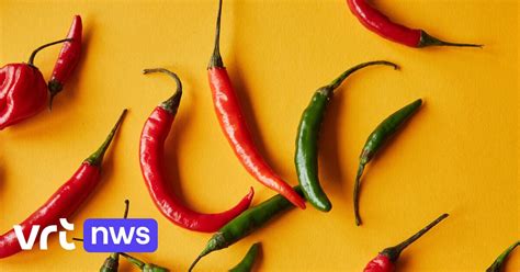 De Hete Peper Is Aan Een Opmars Bezig Ook In België Vrt Nws Nieuws