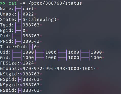 怎么又是你！ too many open files · hanaasagi ゝω· ~ kira