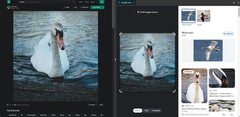 How To Restore Reverse Image Search In Chrome Android Authority